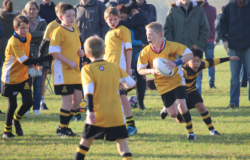 House System – The Bishop's Stortford High School